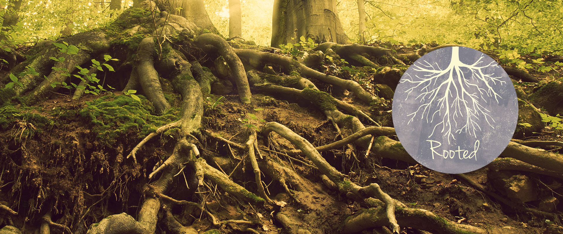 Rooted | Scripture Union