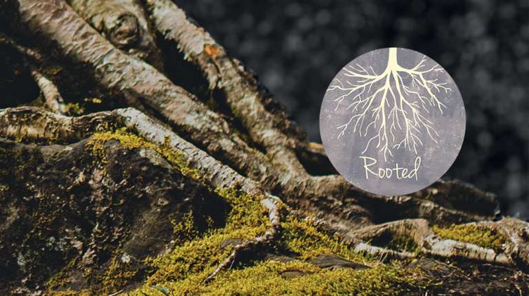 Rooted | Scripture Union