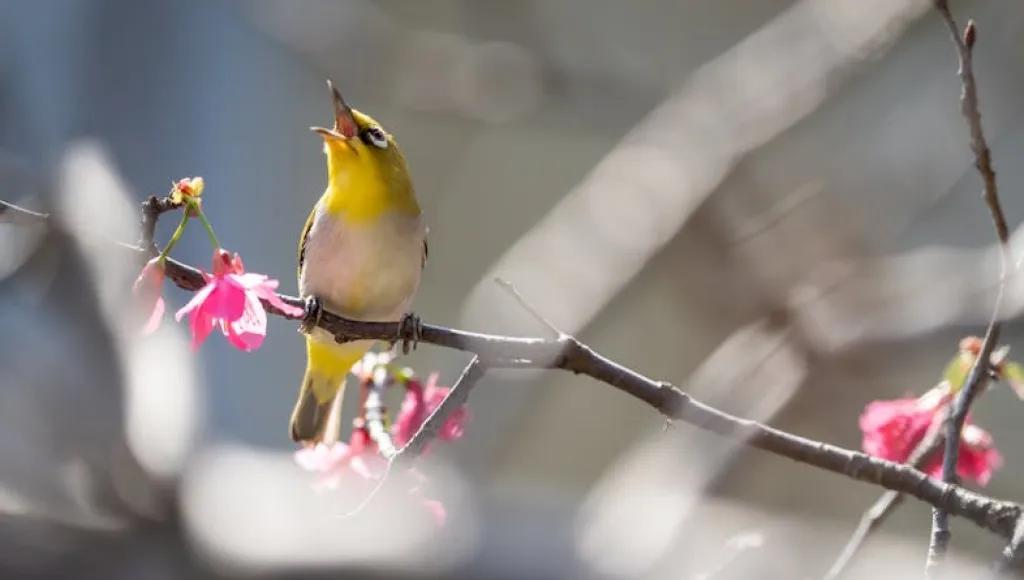 God of justice | Scripture Union