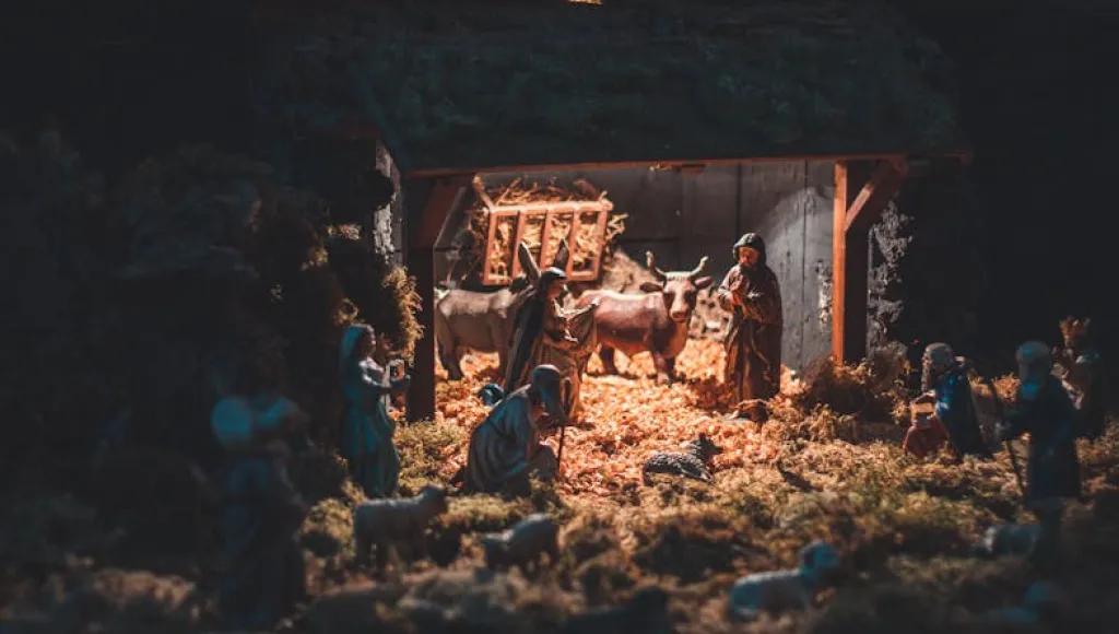 Stars and dreams | Scripture Union