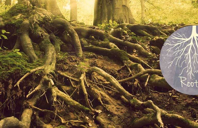 Rooted – supporting young people through tough times | Scripture Union