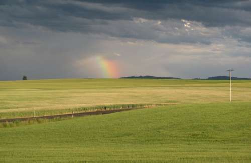 God who brings light | Scripture Union