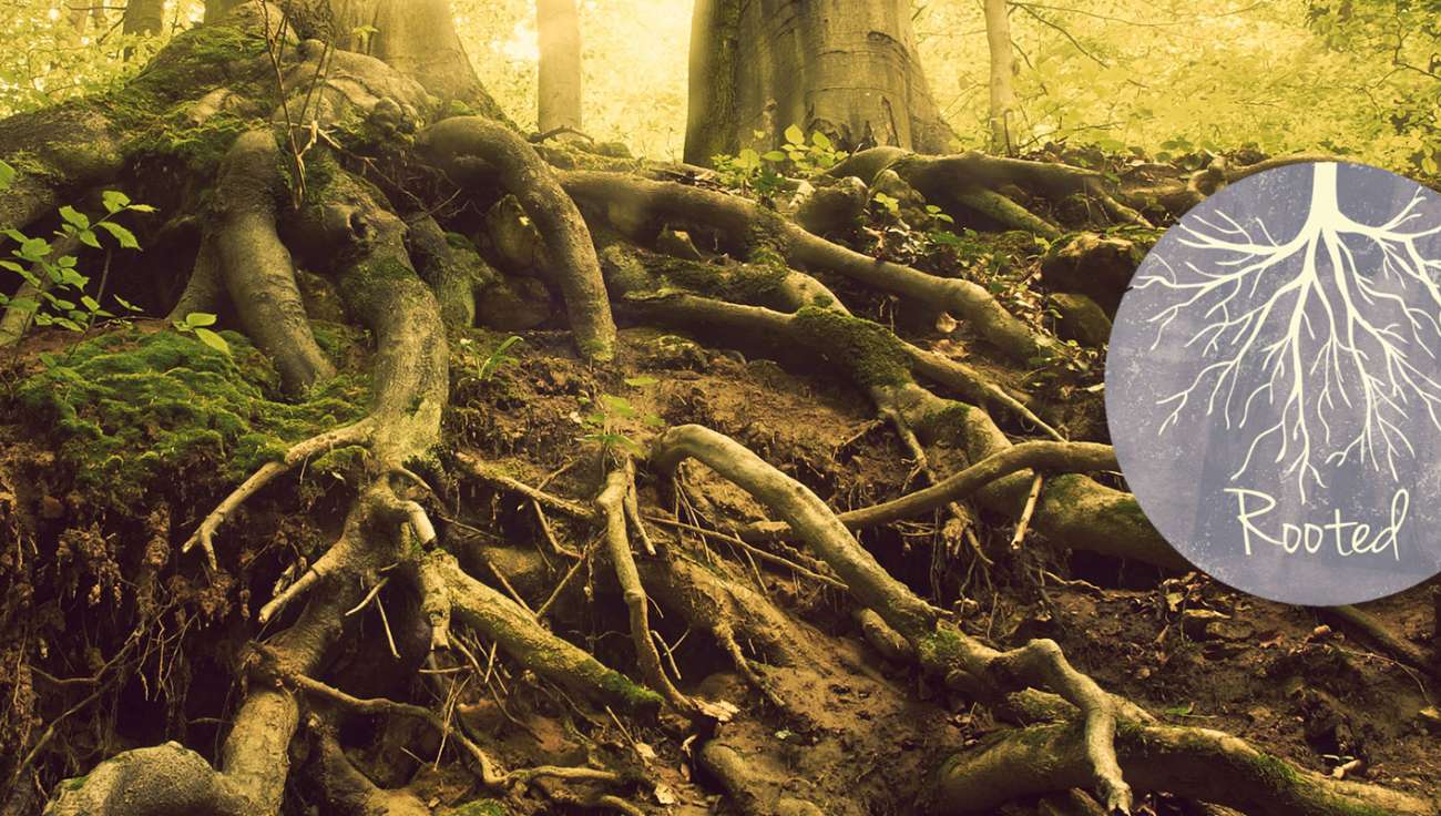 Rooted – supporting young people through tough times | Scripture Union