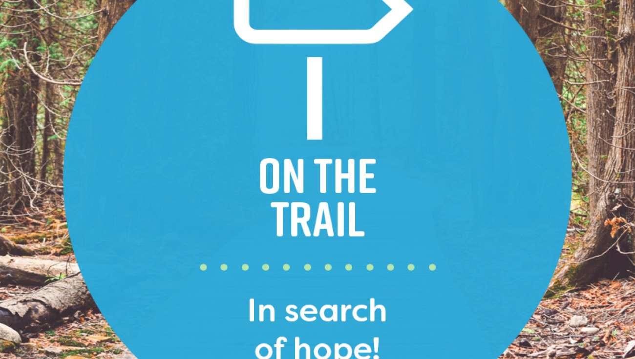 Interactive QR Code Trail | Scripture Union