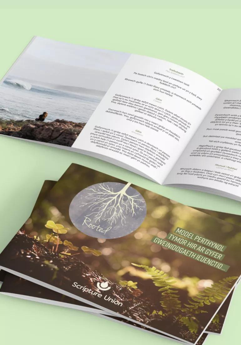 Rooted - Llawlyfr i Arweinwyr | Scripture Union